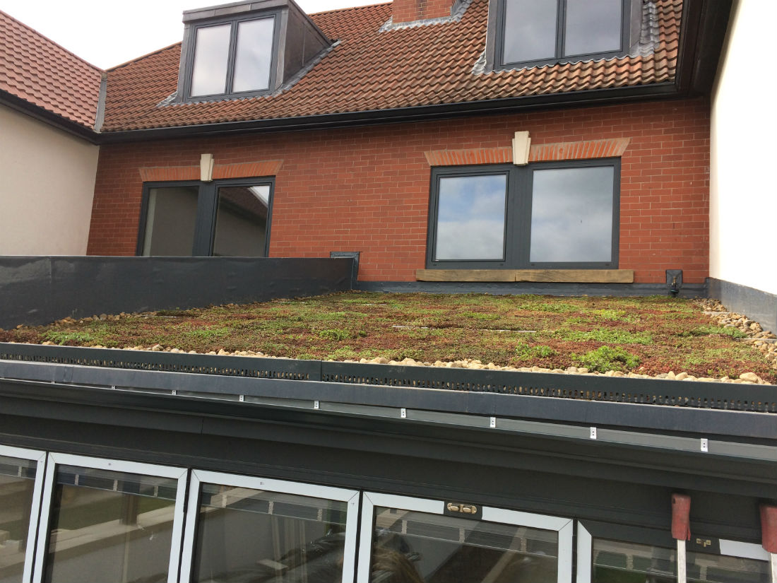 An extension improved - Green Roofs Naturally | Otley