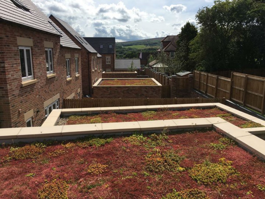 A lovely line of garages - Green Roofs Naturally | Otley