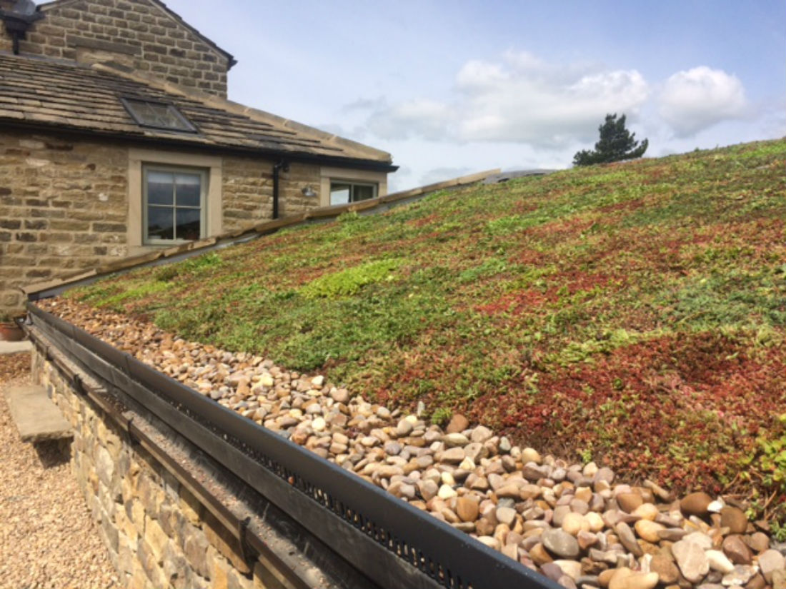 Green roofs Naturally add1 - Green Roofs Naturally | Otley