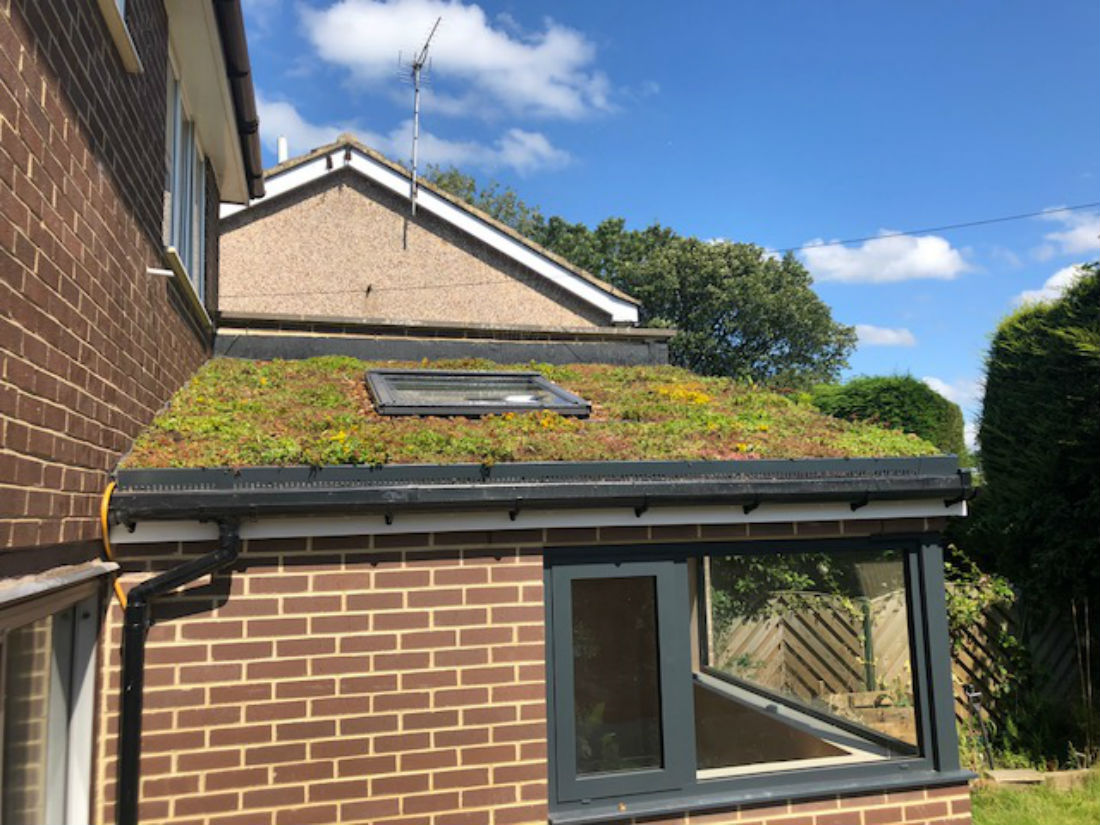 How to make your extension look fabulous! - Green Roofs Naturally | Otley